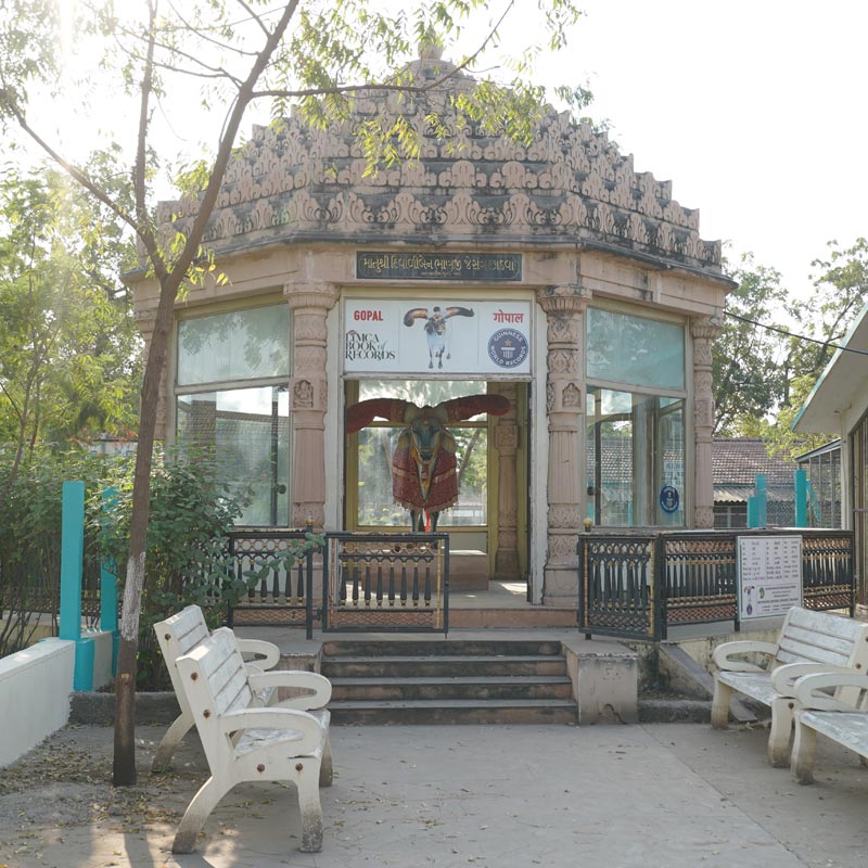 About Gopal - Ahinsadham